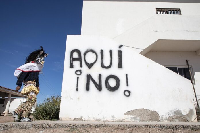 Influencers y ambientalistas exigen frenar planta de amoniaco en ...